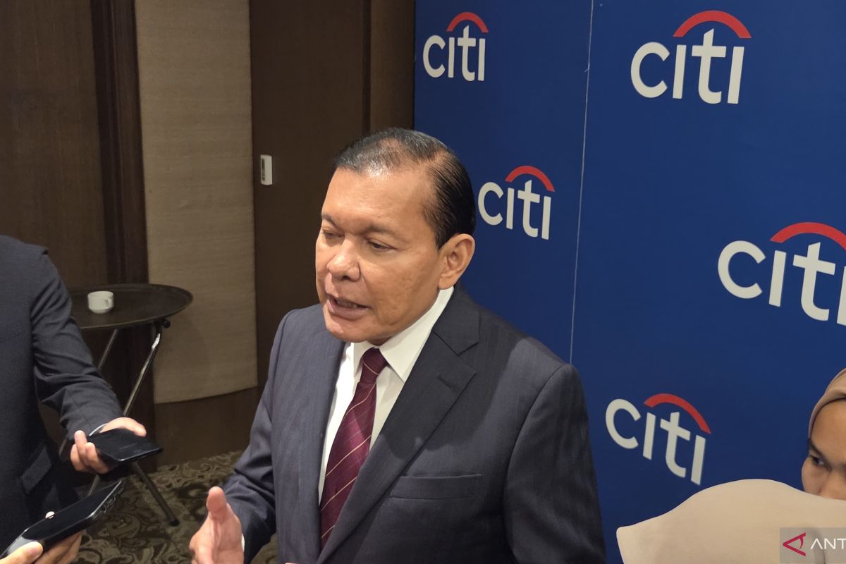 Citi Indonesia ungkap sektor yang jadi fokus penyaluran kredit - ANTARA ...