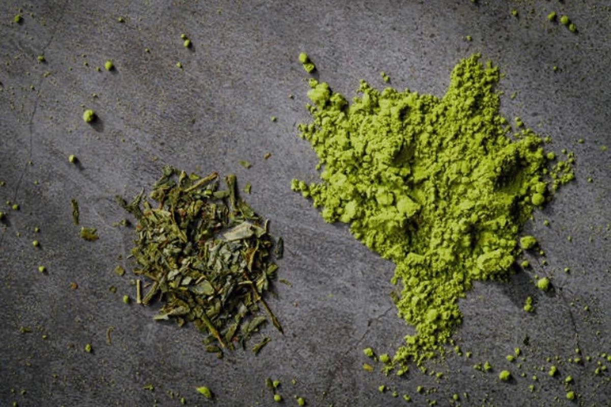 Matcha vs green tea: Mana yang lebih sehat untuk dikonsumsi? - ANTARA ...