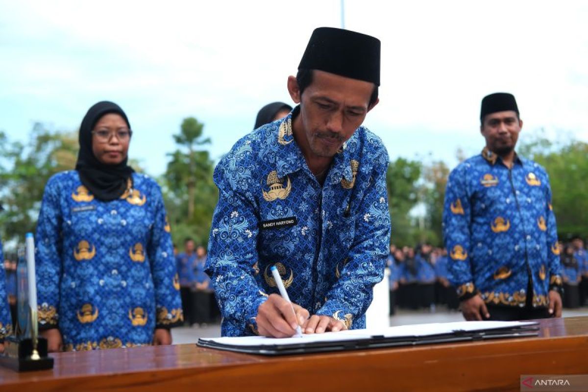 Nasib honorer tak lulus PPPK tunggu aturan pusat - ANTARA News Bengkulu