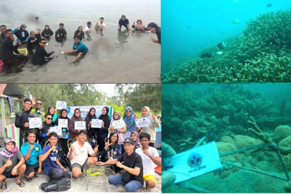 FPPP USN Kolaka tanam 240 fragmen karang untuk pemulihan ekosistem laut ...