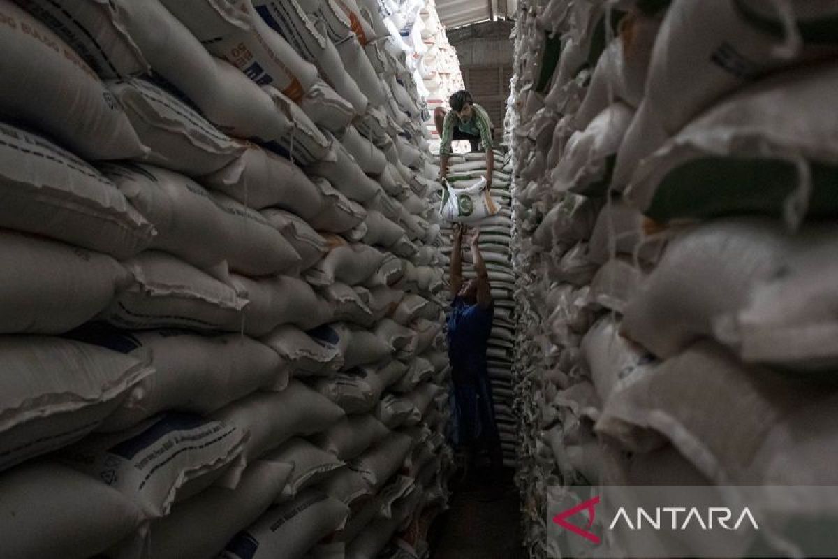 Stok beras Indonesia tembus 4,2 juta ton - ANTARA News Jawa Barat