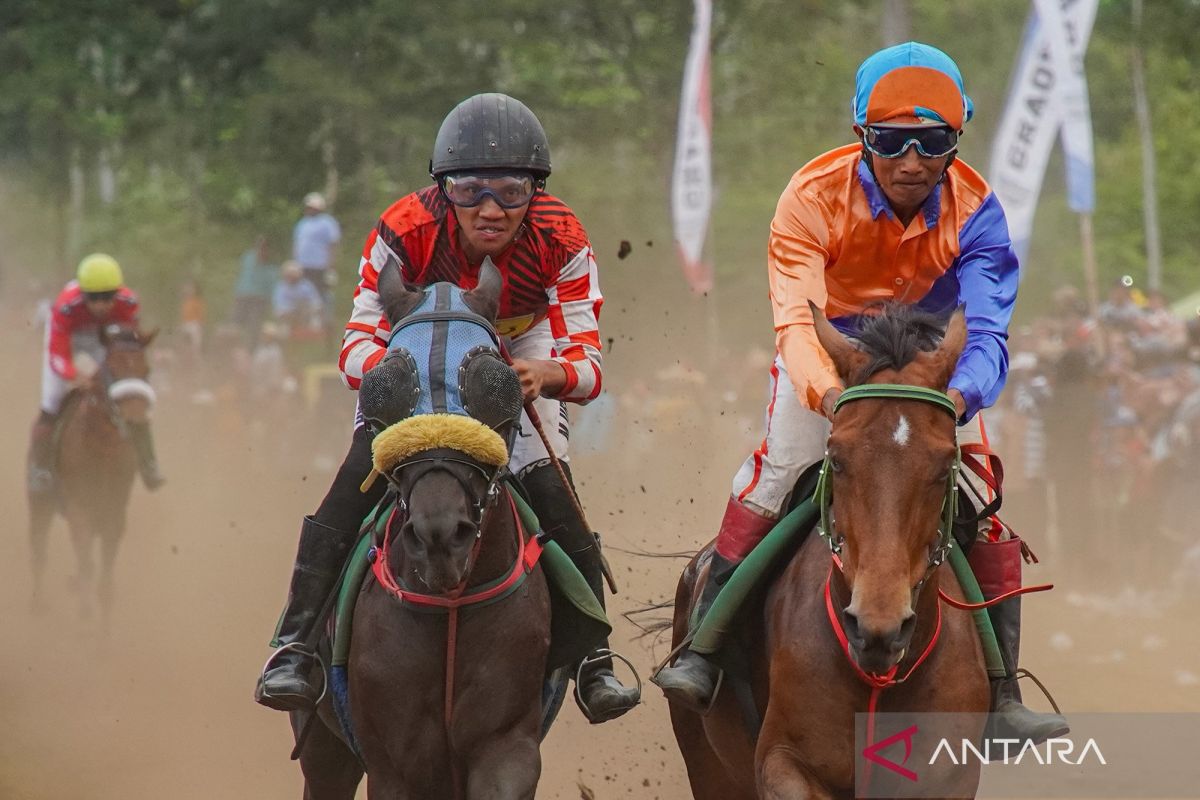 Deru debu kuda pacu di Lumajang - ANTARA News