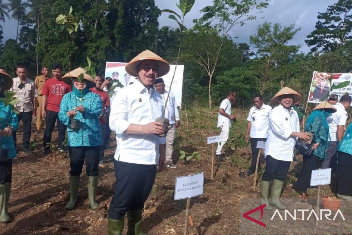 Optimalkan ketahanan pangan, Gubernur Maluku salurkan bantuan pertanian pada petani di SBT ...