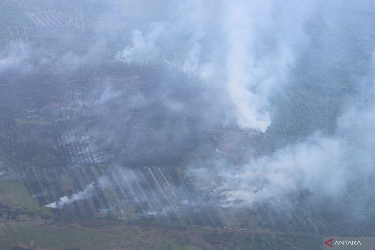 BNPB ungkap 16 orang ditetapkan tersangka pembakaran lahan di Riau - ANTARA News