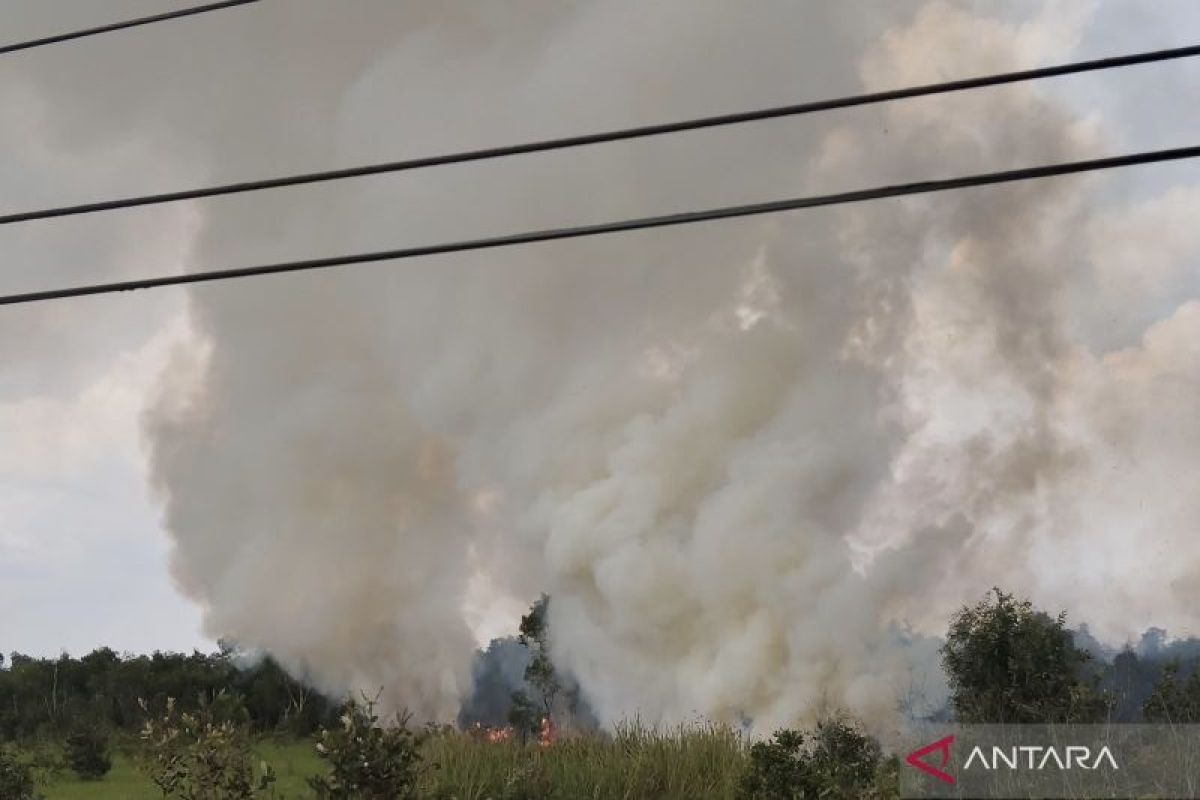 Dua titik karhutla muncul di Banjarbaru - ANTARA News Kalimantan Selatan