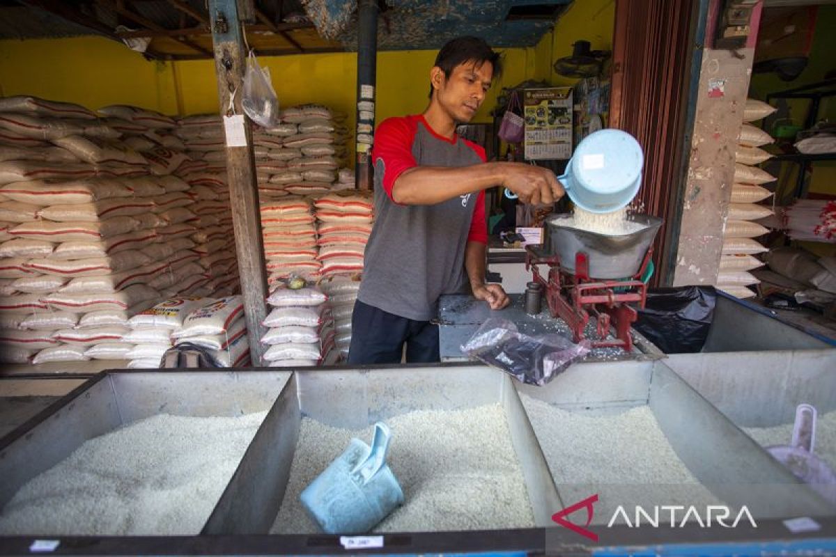 Harga beras naik di Indramayu - ANTARA News Jawa Barat