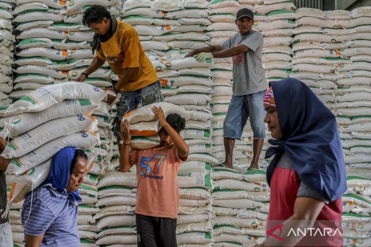 Indonesia surplus beras, stok nasional tembus 4,2 juta ton - ANTARA News