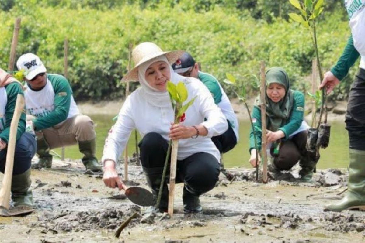 Khofifah ajak warga tanam pohon sebagai "sedekah oksigen" - ANTARA News Jawa Timur