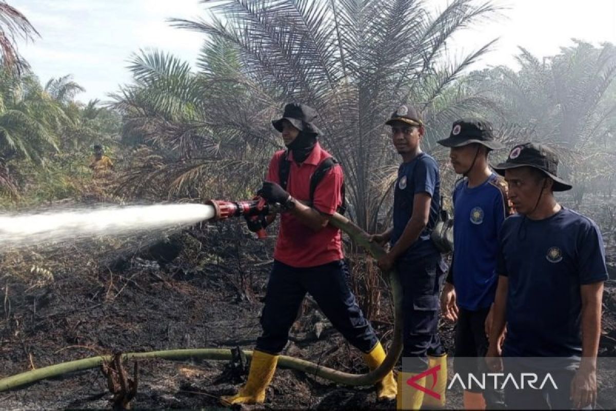 BPBD: 70 persen lahan terbakar di Aceh Barat berhasil dipadamkan - ANTARA News