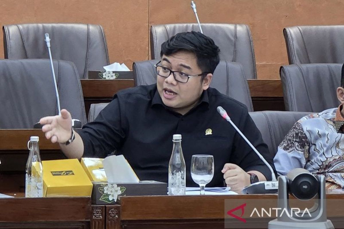 Anggota DPR: Pemberian abolisi dan amnesti bukti Presiden berjiwa besar - ANTARA News