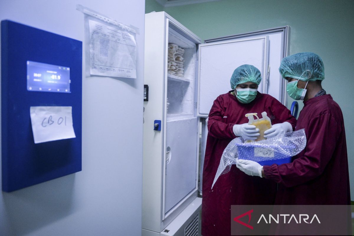Program fraksionasi plasma darah ke Korea Selatan - ANTARA News Banten