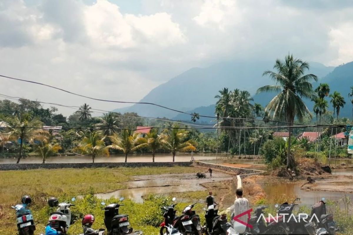 Bulog Rejang Lebong Bengkulu optimistis serap 1.000 ton beras petani - ANTARA News Bengkulu