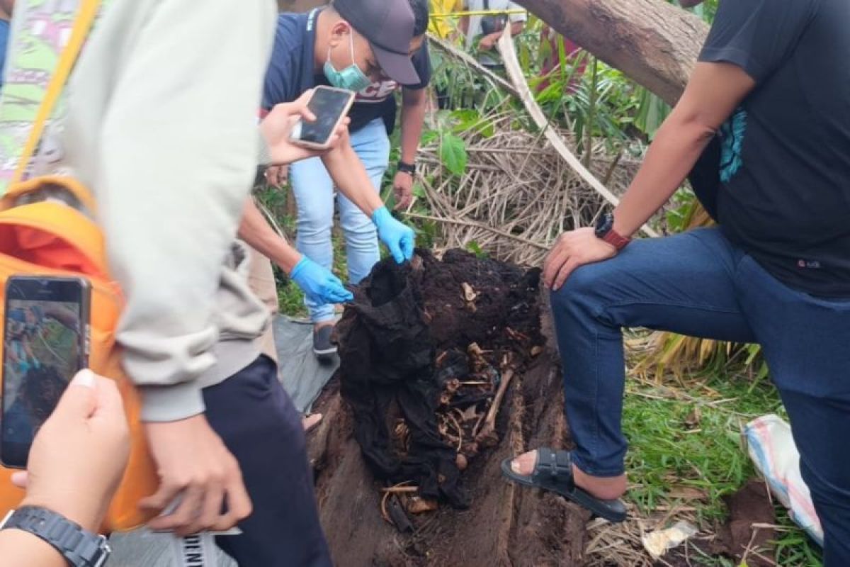 Kerangka manusia dalam pohon aren tunggu hasil DNA - ANTARA News Sumatera Utara