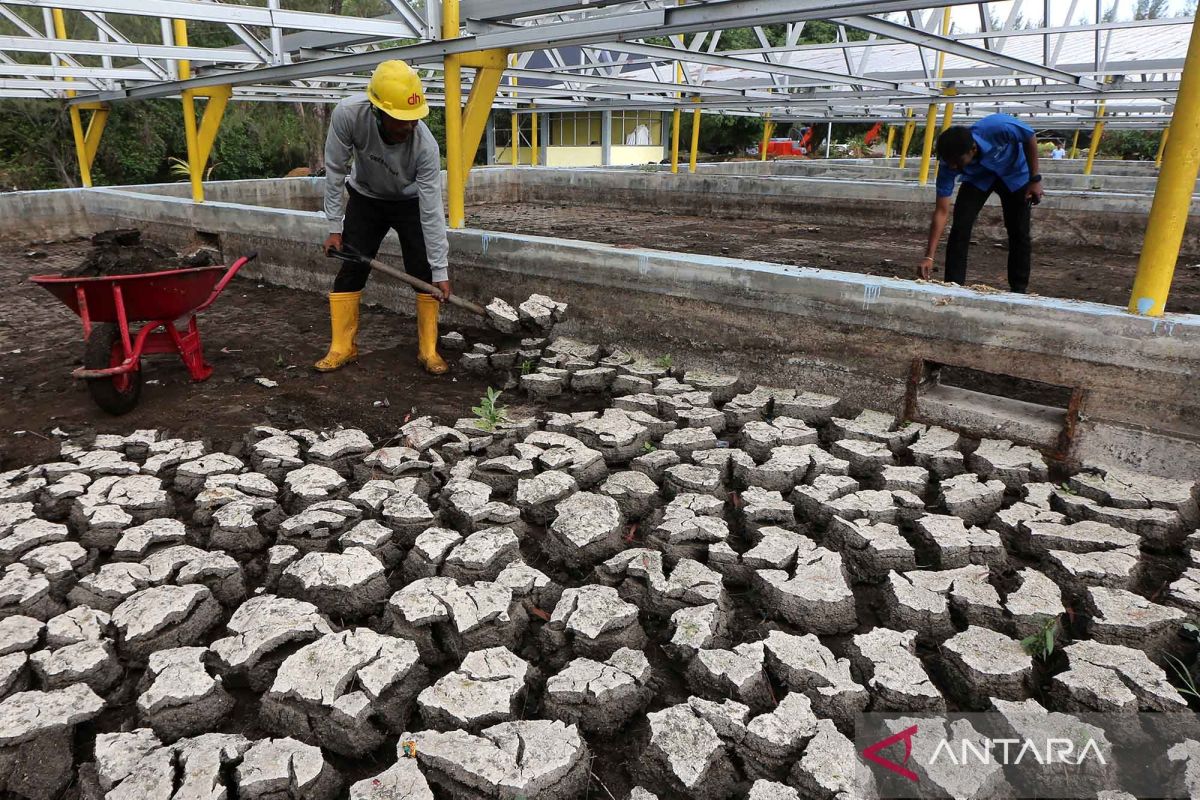 Pemanfaatan lumpur tinja untuk pupuk organik - ANTARA News