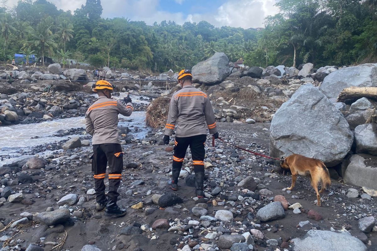 Tim K9 SAR Baharkam Polri bantu cari korban bencana NTT - ANTARA News