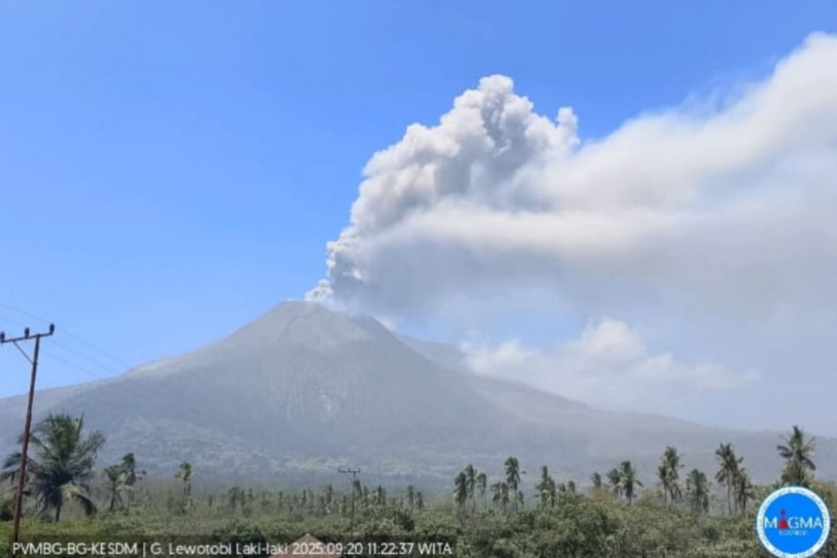Gunung Lewotobi Laki-laki di Flotim hari ini erupsi tujuh kali dalam enam jam - ANTARA News Jawa ...
