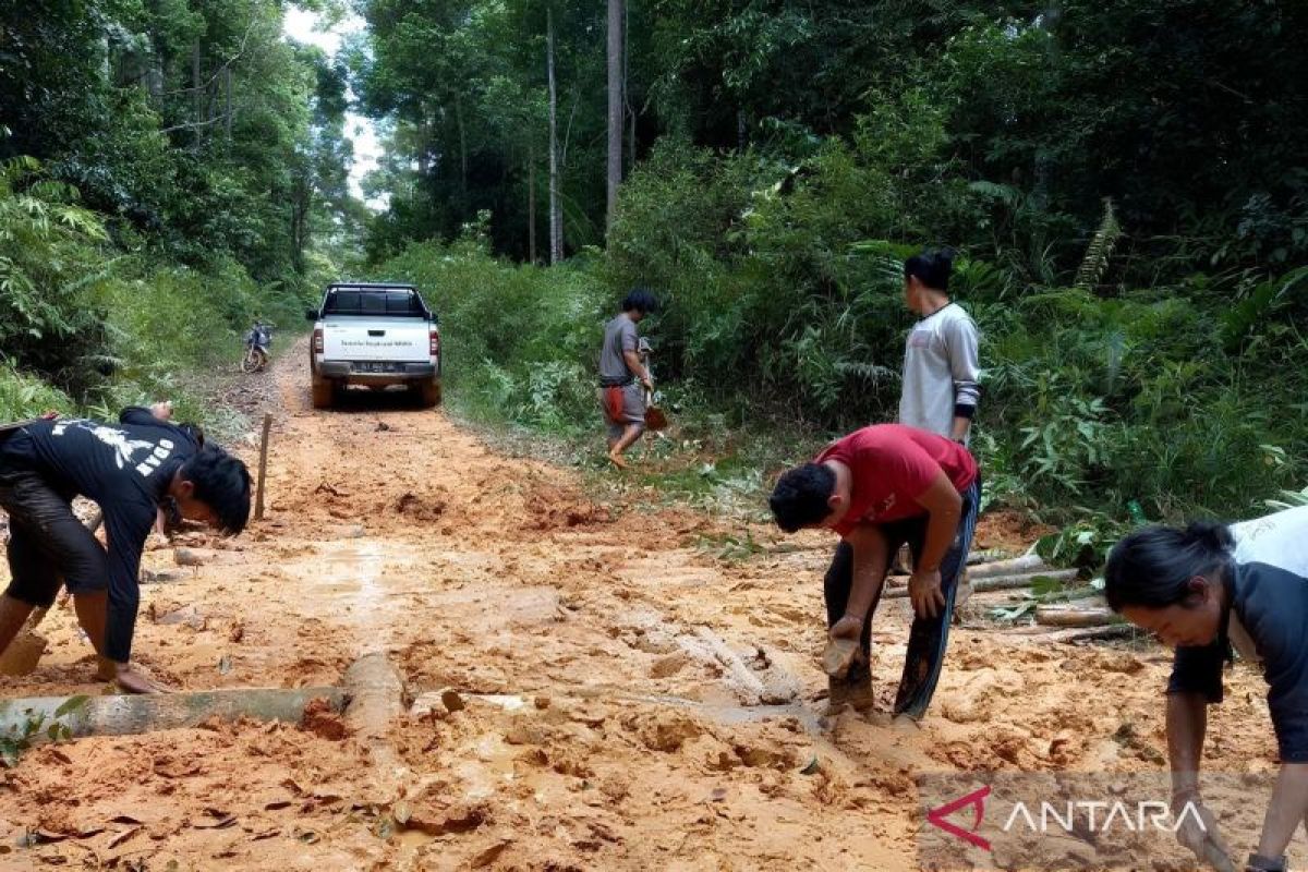 Hutan adat Wehea di Kutim perlu perhatian pemerintah - ANTARA News Kalimantan Timur