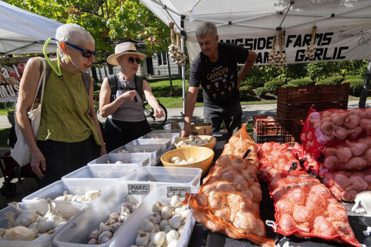 Mengunjungi Festival Bawang Putih di Toronto, Kanada - ANTARA News
