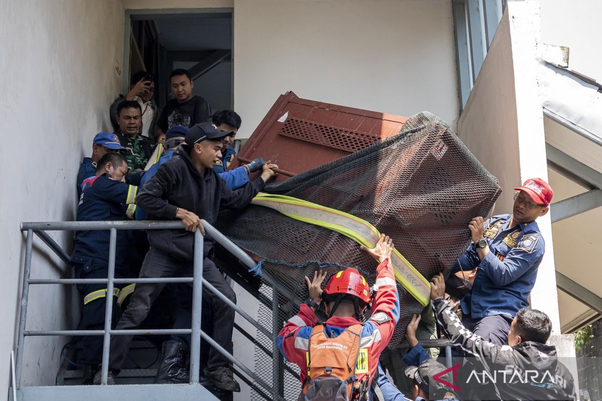 Macan tutul masuk hotel di Bandung, evakuasi dramatis berakhir di tangan BBKSDA - ANTARA News
