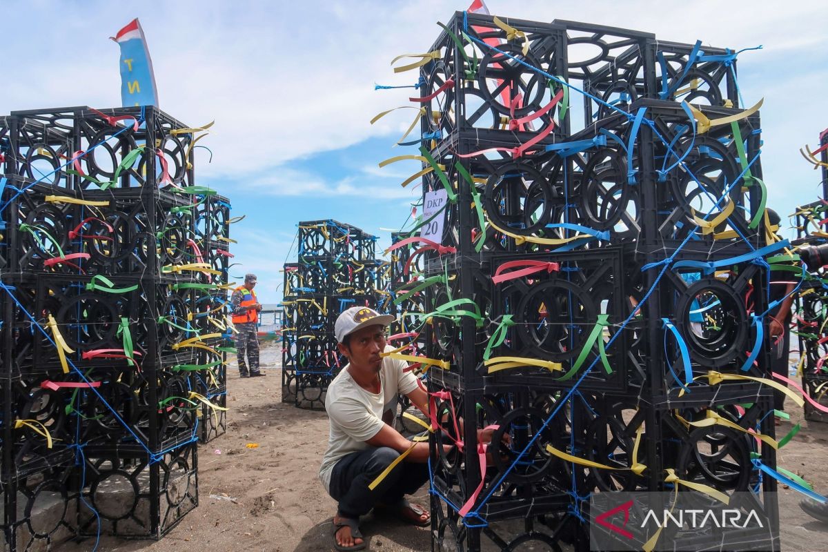 Apartemen ikan untuk meningkatkan habitat biota laut di Banyuwangi ...