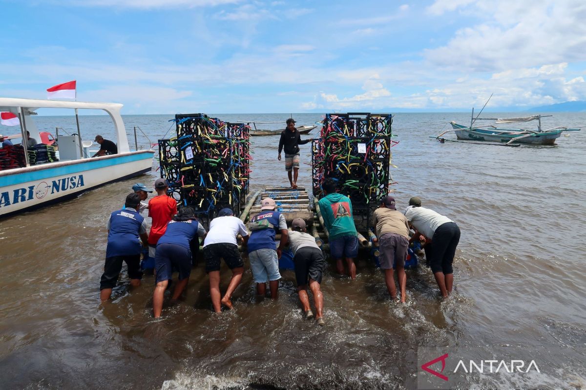 Apartemen ikan untuk meningkatkan habitat biota laut di Banyuwangi ...