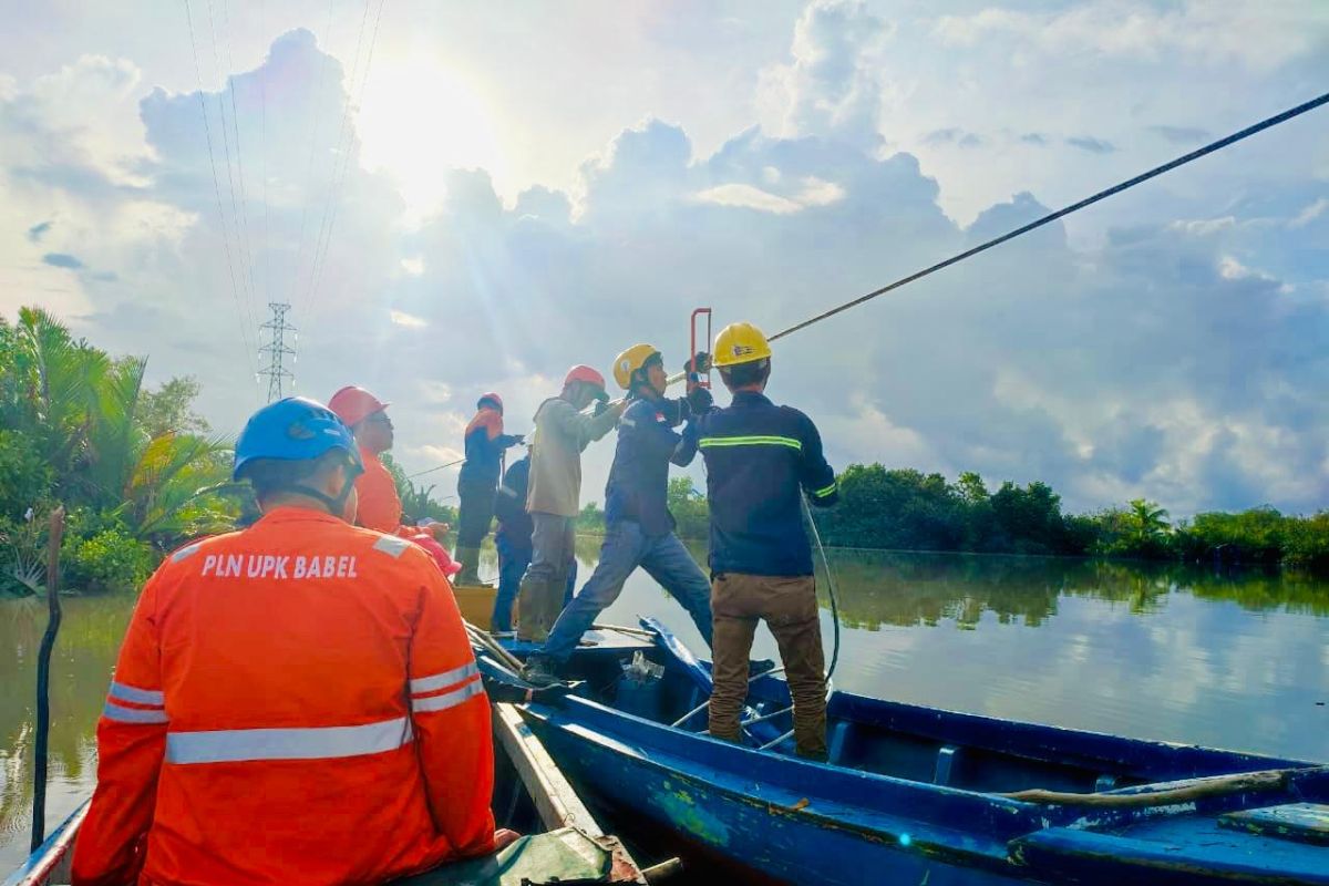 Aksi sigap PLN Babel, pemeliharaan jalur SUTT Suge--Dukong perkuat ...