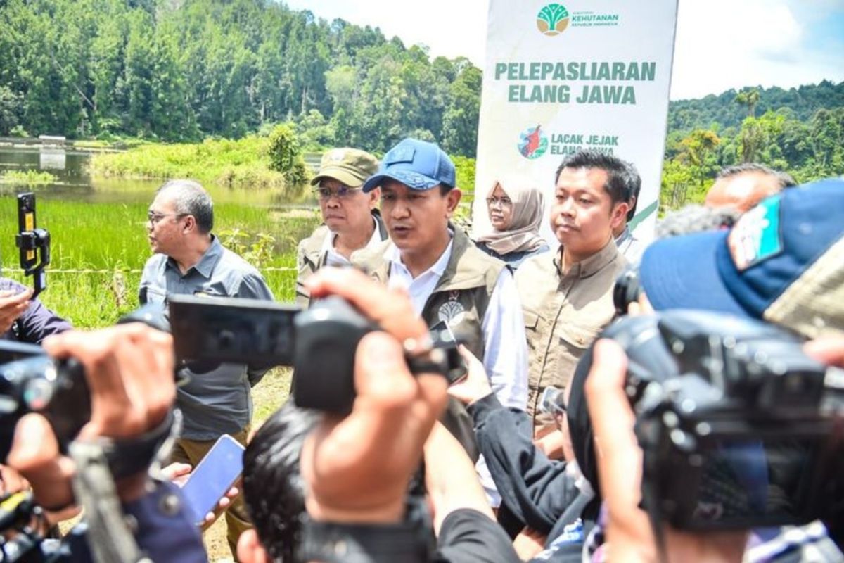 Kemenhut proses usulan kawasan konservasi baru untuk Elang Jawa - ANTARA News
