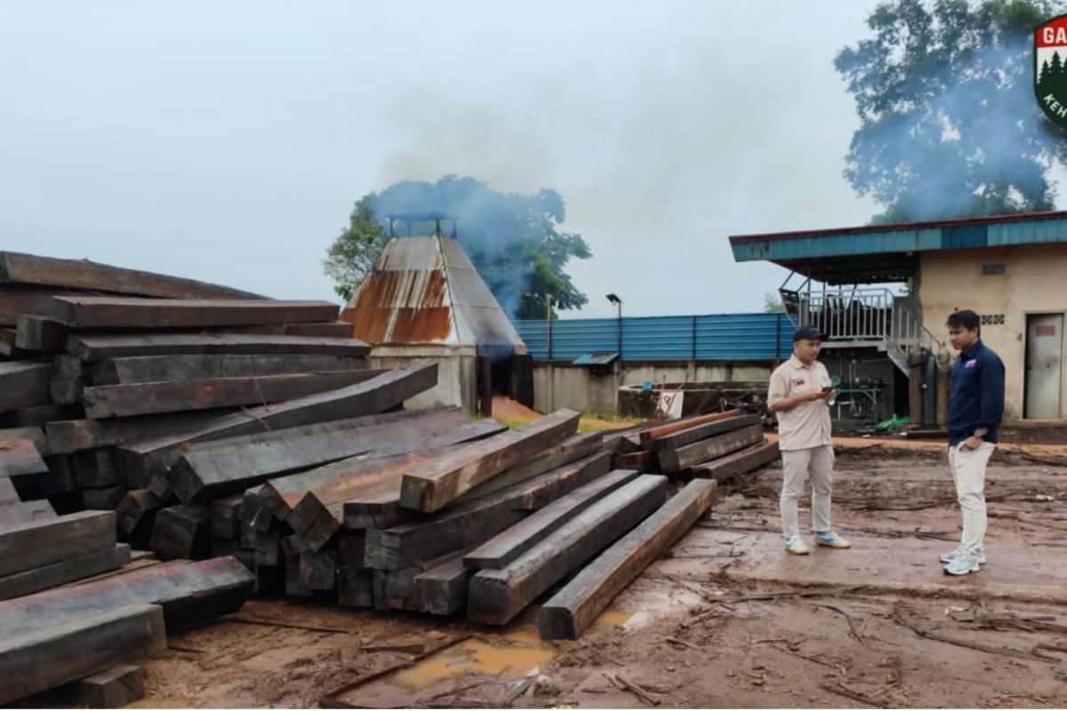 Kemenhut teruskan proses hukum jaringan pengangkut kayu ilegal di Batam ...