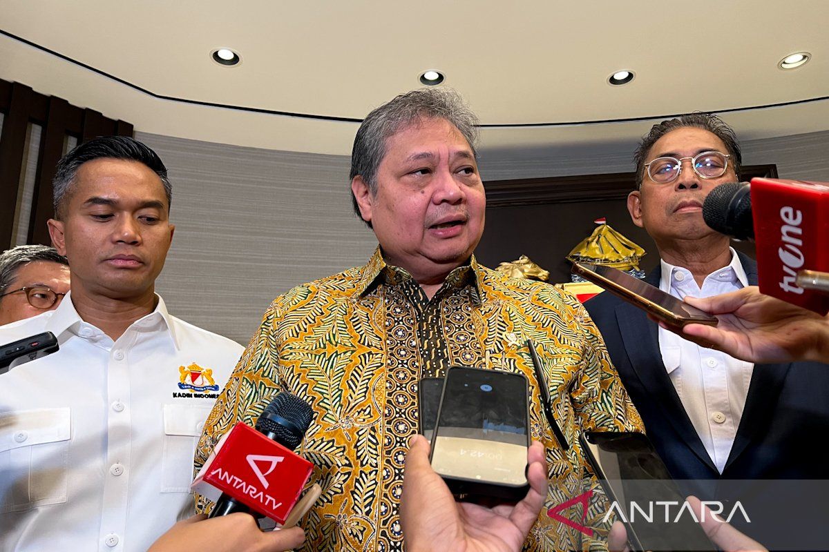 Airlangga: Lahan food estate Papua lebih baik dari Australia - ANTARA ...