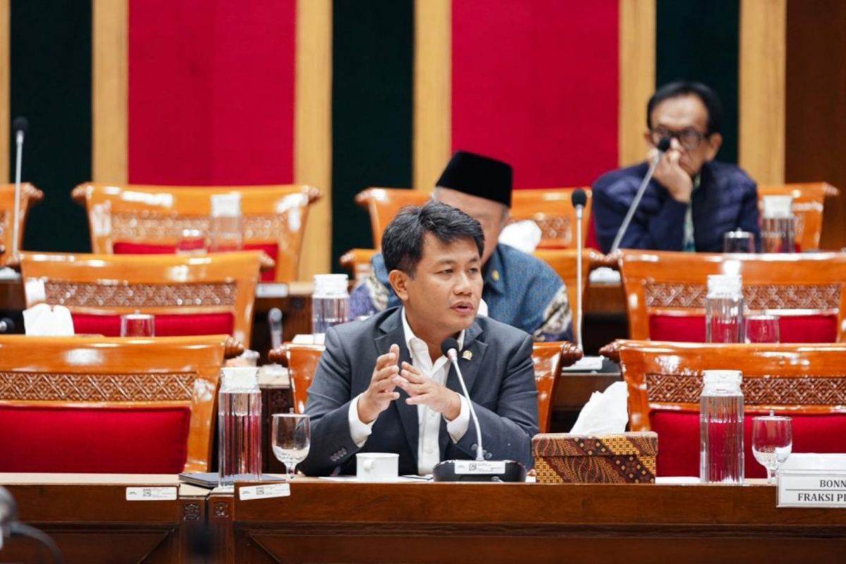 Anggota DPR minta Perpusnas perhatikan kondisi perpustakaan daerah ...