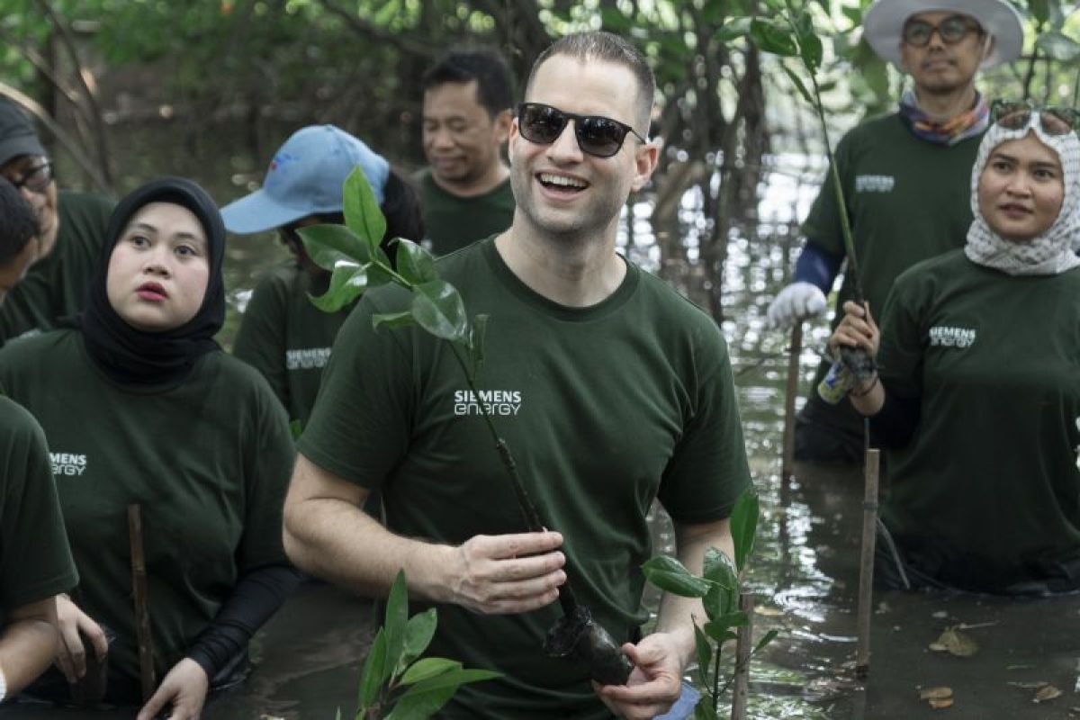La Fundación Mangrove Indonesia Lestari lanza la beca Mangrove Impact ...