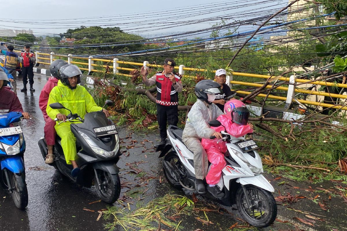 Update Jalur Soekarno-Hatta Bandung: Sempat Tertutup Pohon Tumbang Arah ...