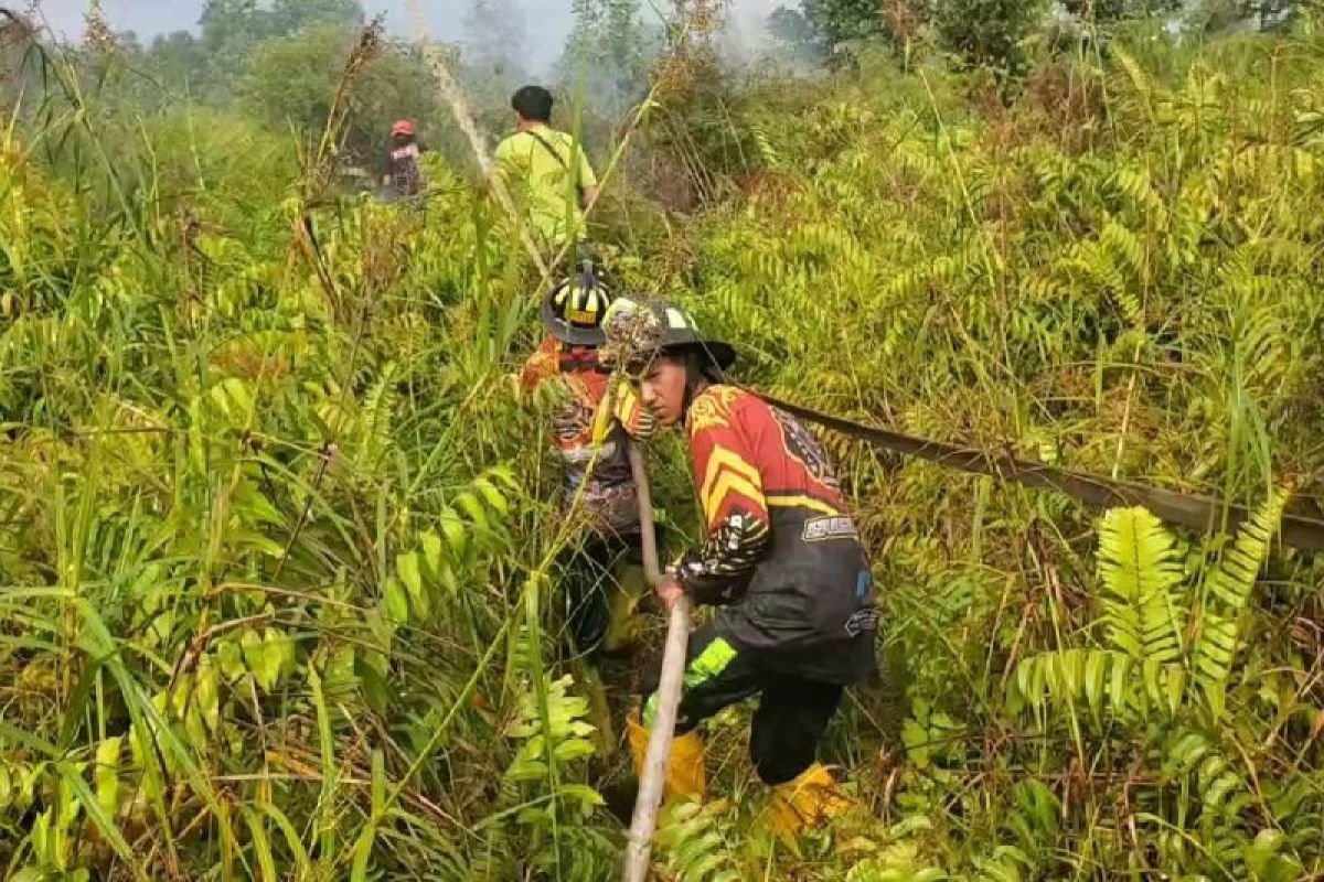 Kebakaran lahan dua lokasi di Sampit diduga disengaja - ANTARA News Kalteng