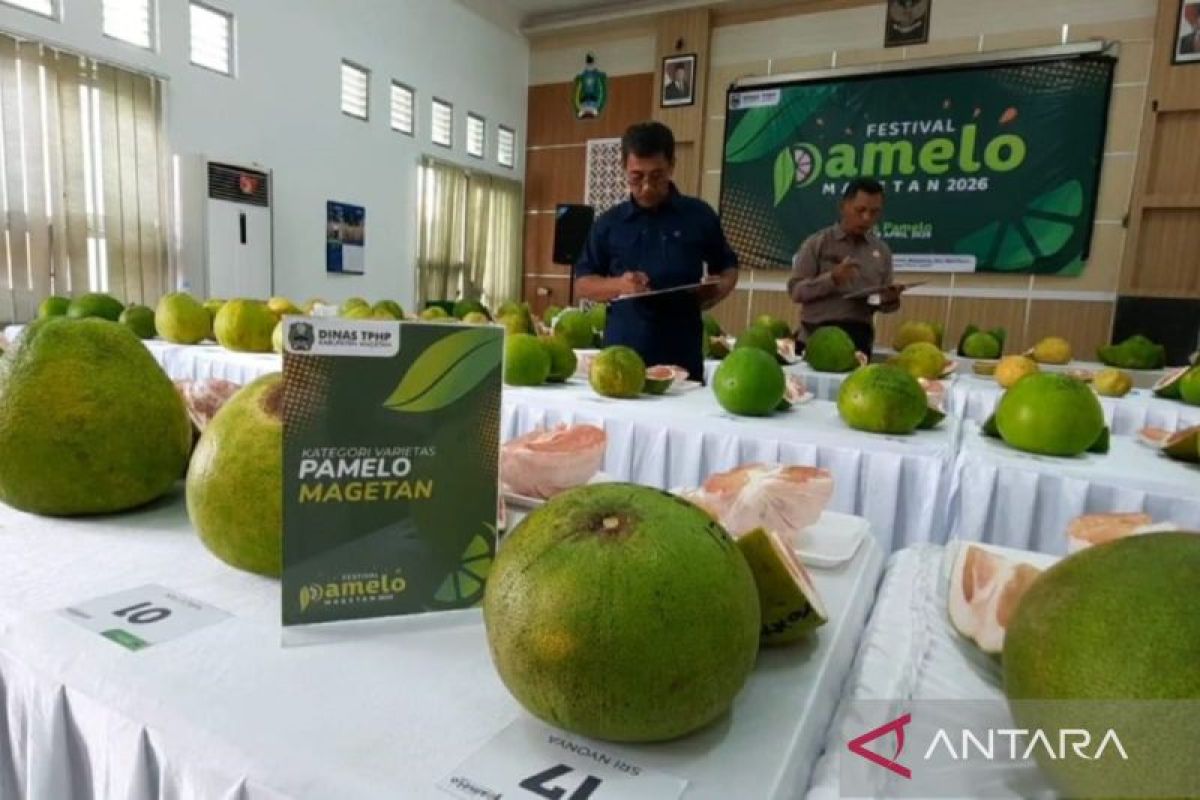 Pemkab Magetan promosikan jeruk ikon daerah lewat Festival Pamelo 2026 ...
