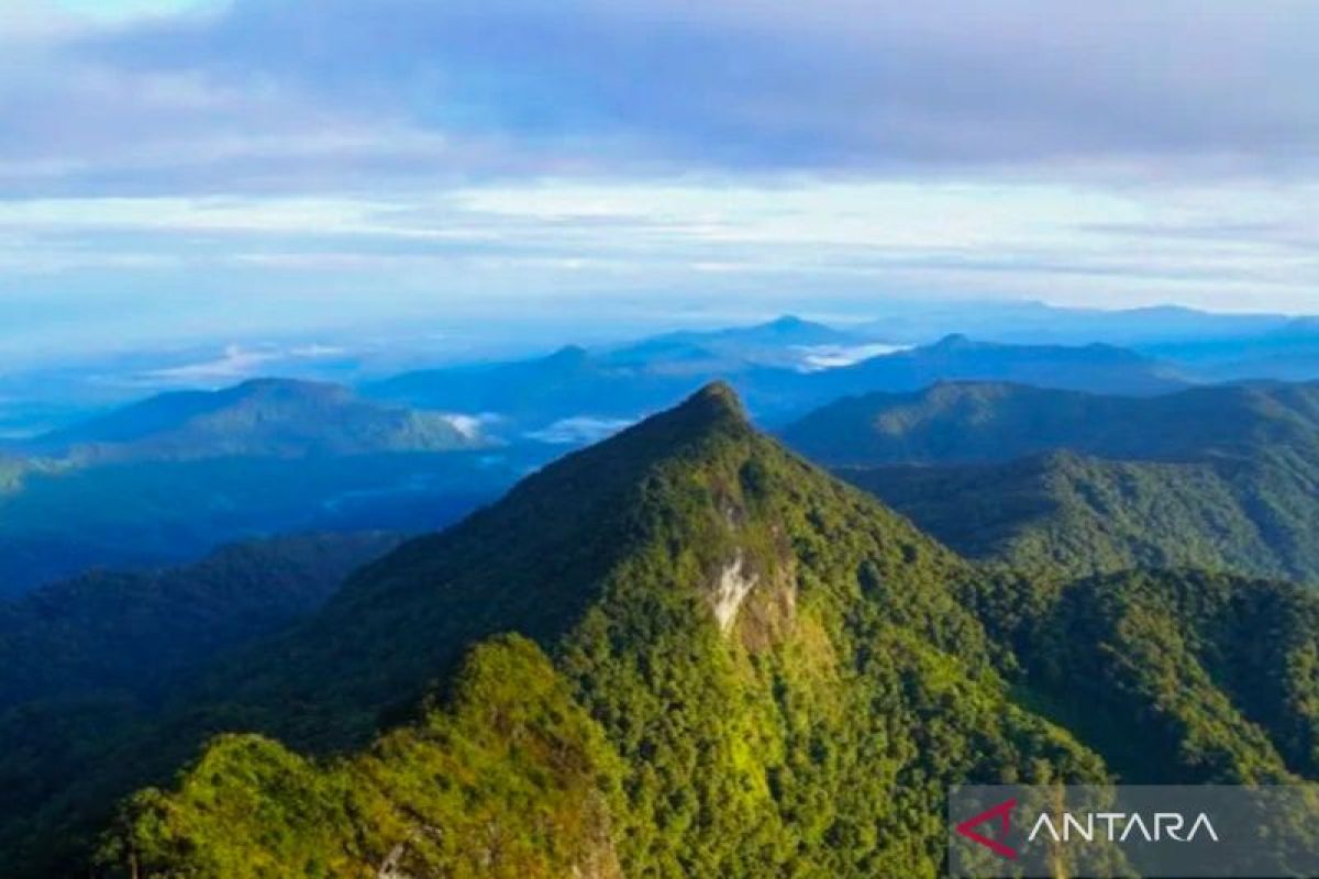 Pemkab HST pastikan belum ada keputusan resmi penutupan permanen Gunung ...