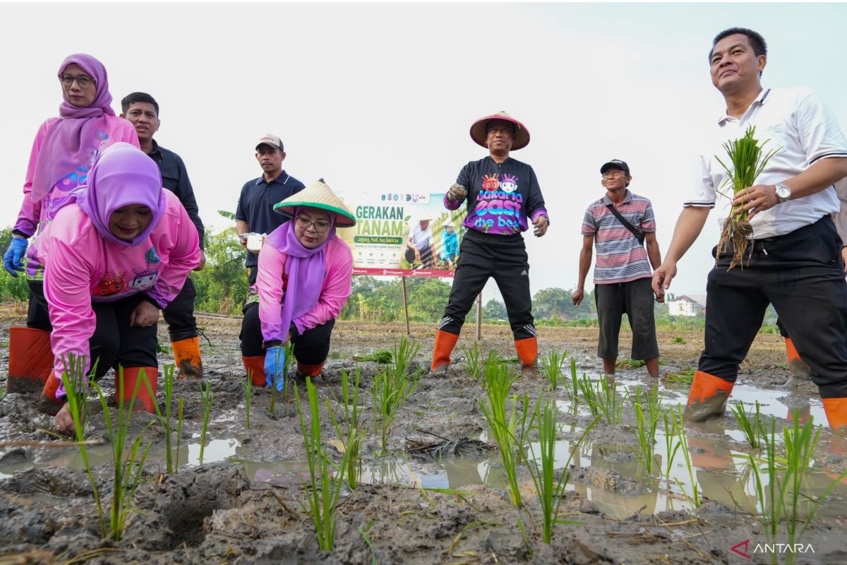 Perkuat ketahanan pangan, Jaktim tanam jagung dan sayuran di 162 titik ...