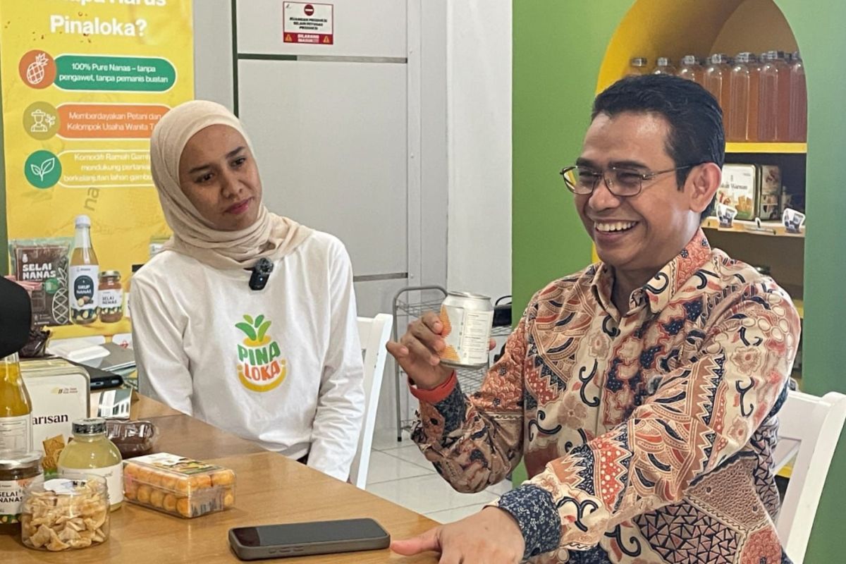Anggota DPR apresiasi UMKM di Siak manfaatkan nanas jadi produk modern ...