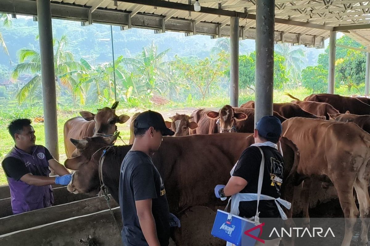 Cianjur pastikan hewan kurban dari luar bebas dari penyakit - ANTARA ...
