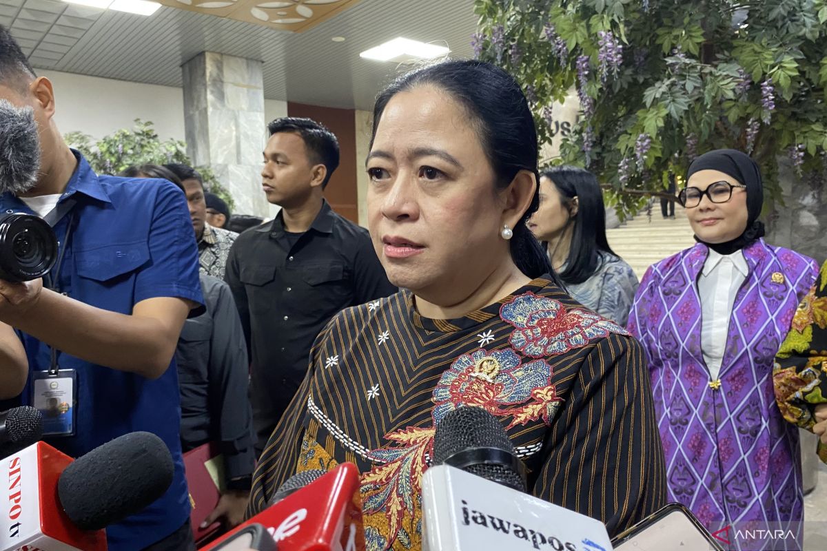 Puan: Literasi digital perlu diperkuat cegah judi daring anak - ANTARA News