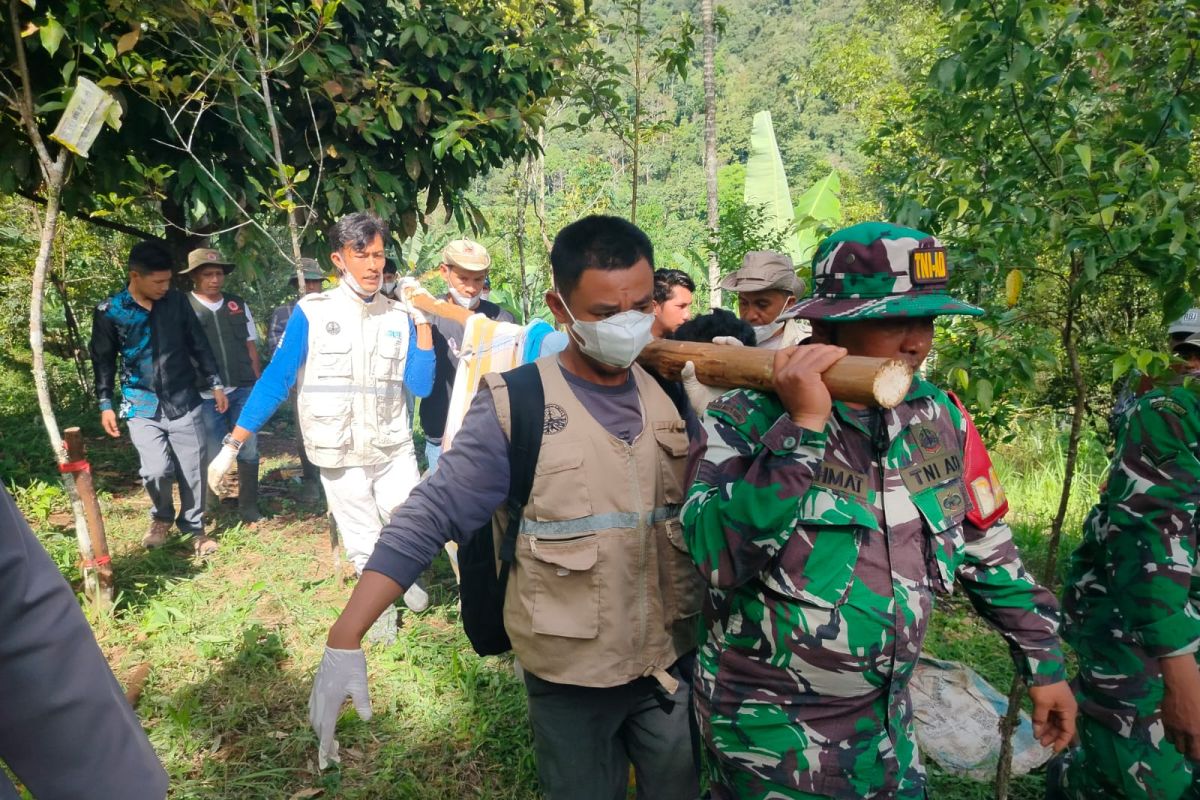 BKSDA Sumbar evakuasi harimau masuk kandang jebak di Agam - ANTARA News