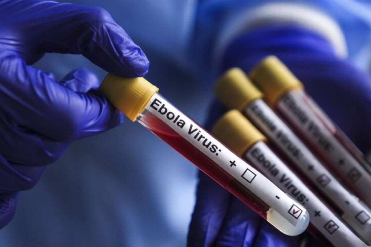 Uganda tutup perbatasannya dengan Kongo akibat wabah Ebola - Portal ...