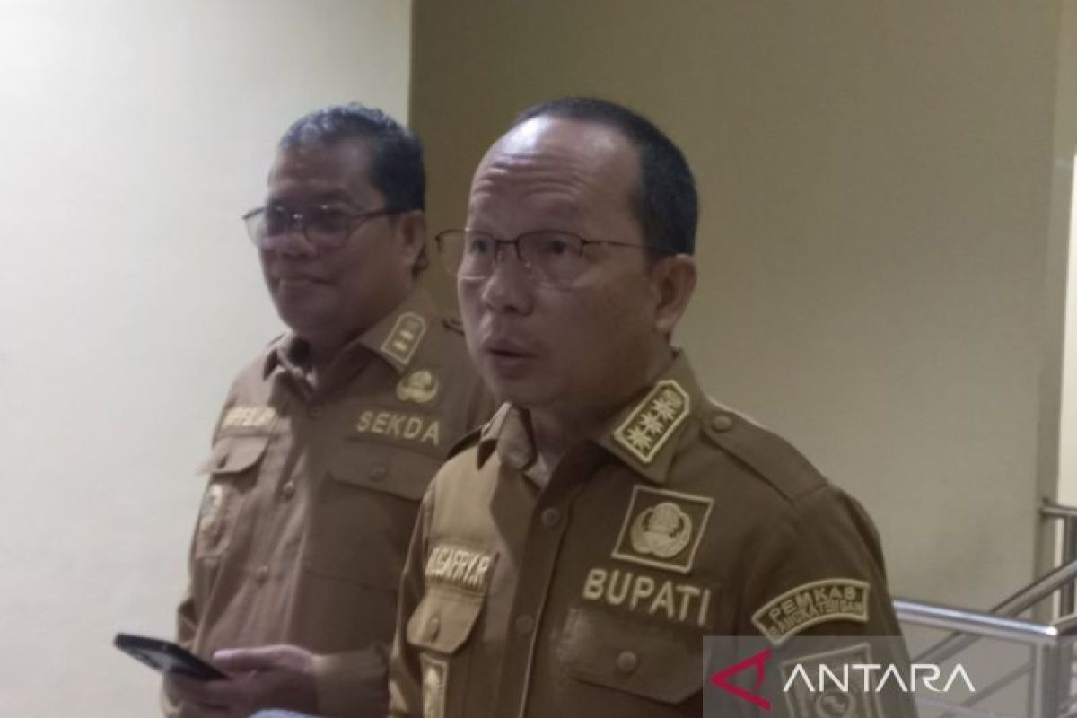 Bupati Bangka Tengah: Sedimentasi drainase picu genangan air - ANTARA ...