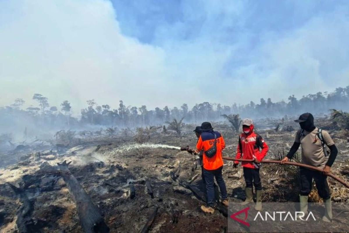 Kebakaran lahan di Nagan Raya Aceh meluas capai 17 hektare - ANTARA ...