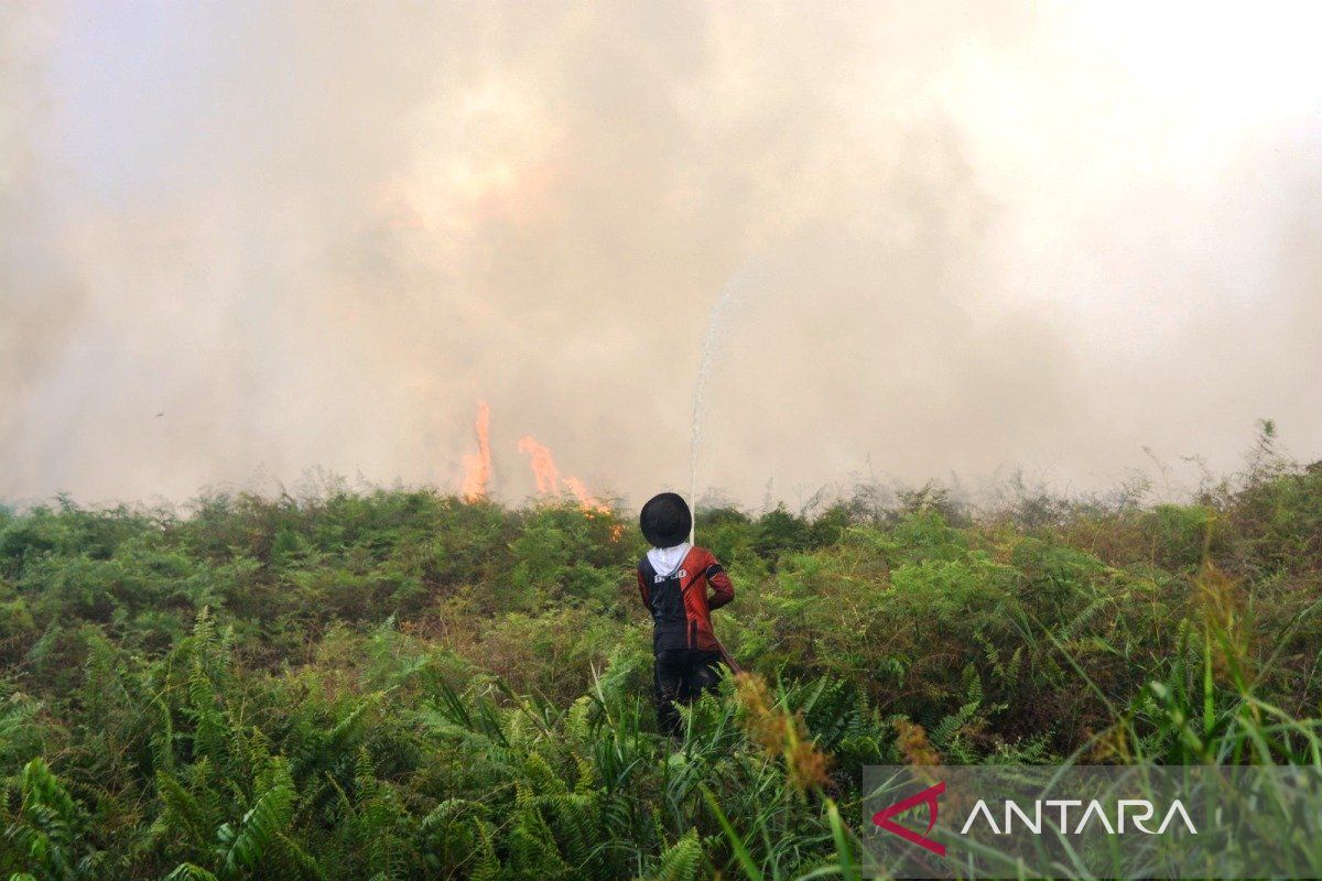 BNPB kerahkan helikopter tangani meluasnya karhutla di Aceh Barat ...