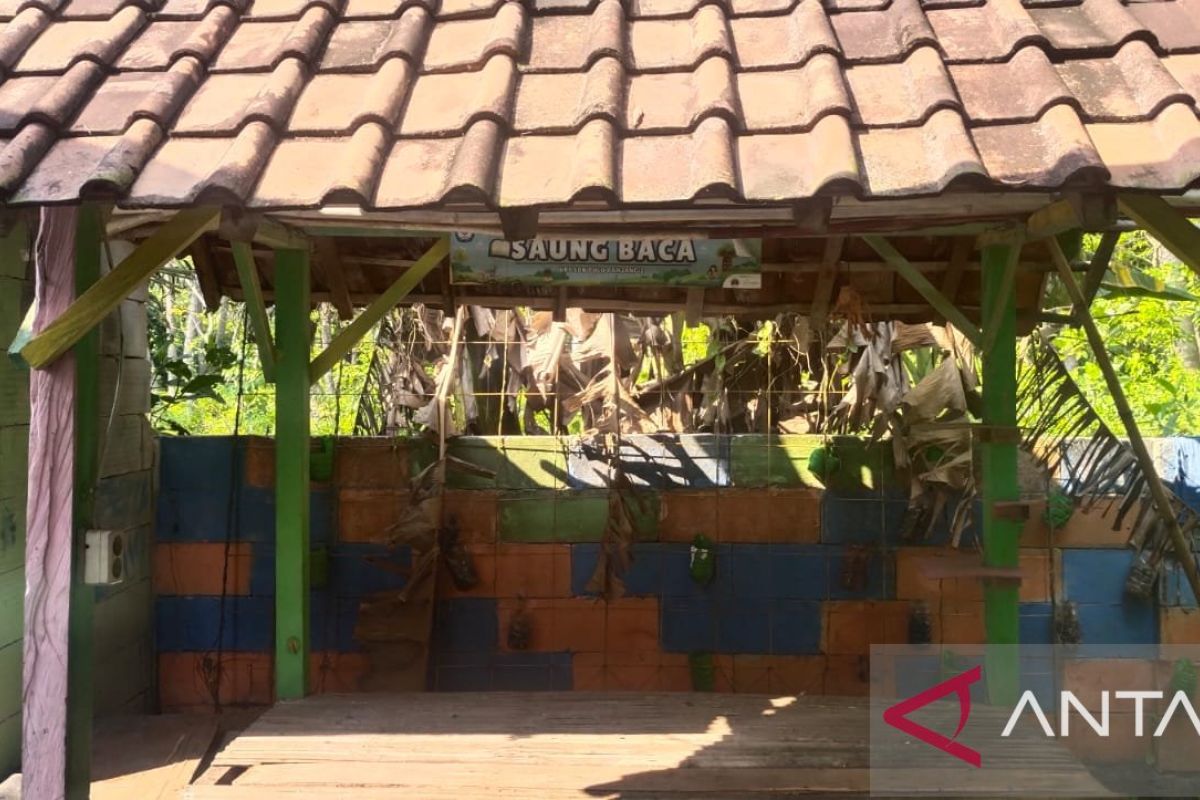 Kolaborasi PLN-LAZ Harfa tumbuhkan harapan anak Pulo Panjang - ANTARA ...