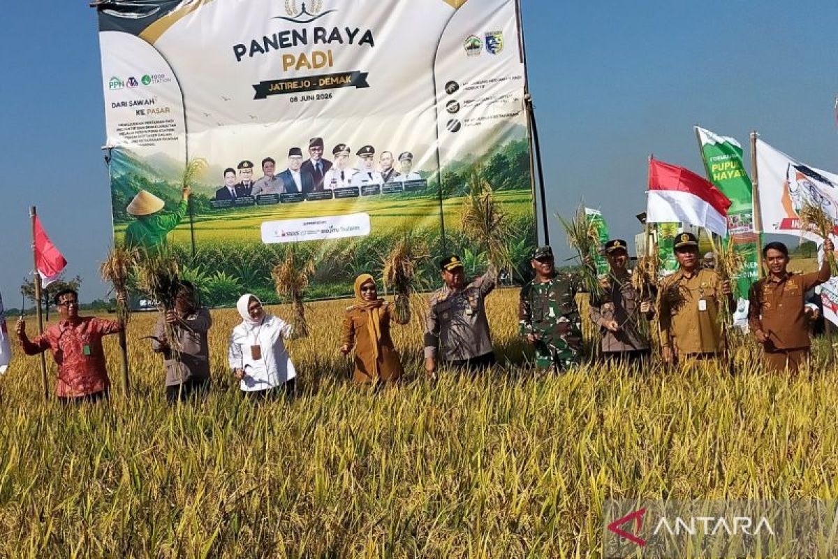 Bupati Demak : Hasil panen padi rata-rata 6,7 ton per hektare - ANTARA ...