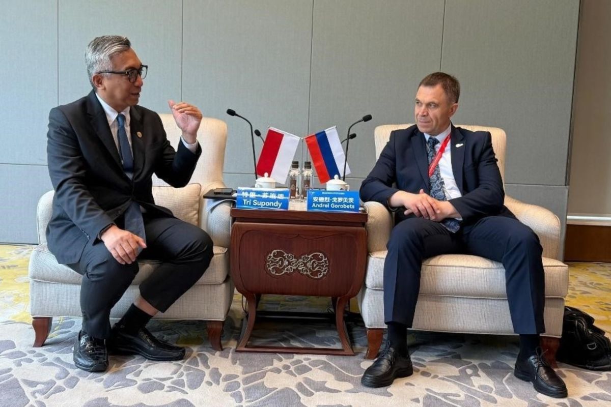 Indonesia, Russia deepen strategic industry cooperation through BRICS ...