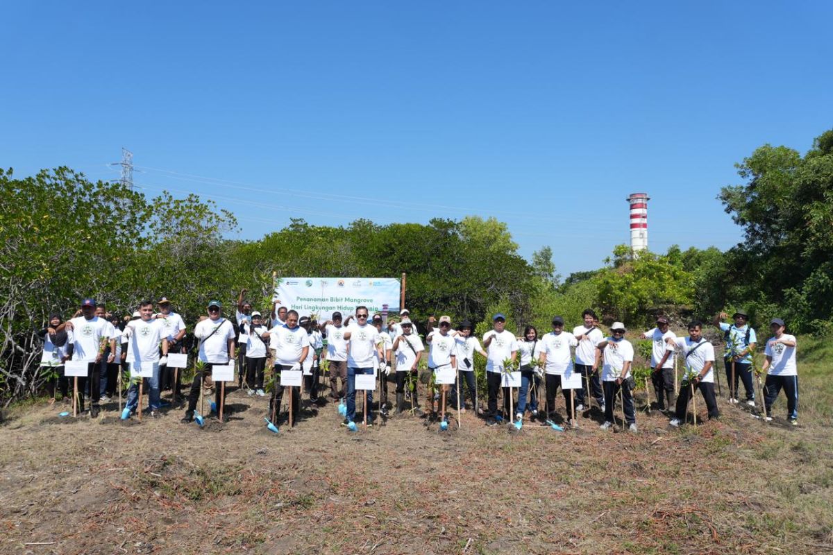 PLN IP tanam ribuan pohon penghijauan - ANTARA News Megapolitan