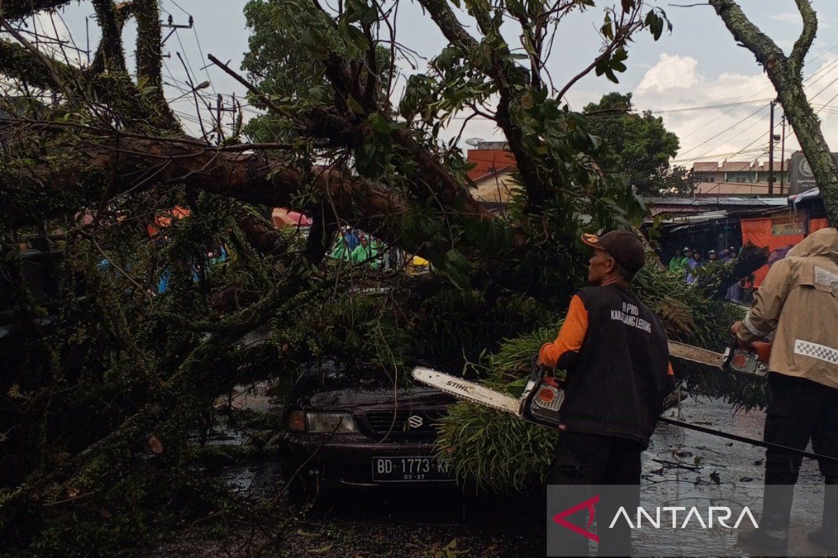 BPBD Rejang Lebong tangani 34 bencana sepanjang Januari-Mei - ANTARA ...