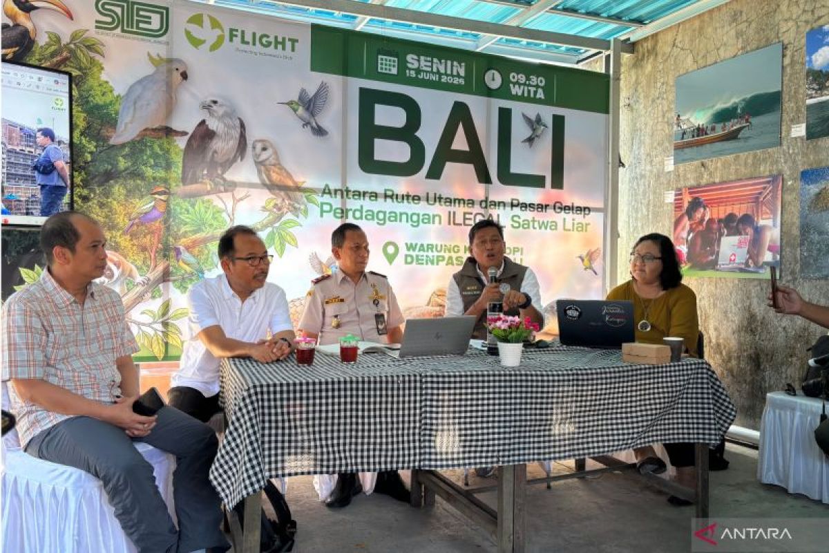 Warga Bali pemilik Monyet Ekor Panjang mulai serahkan monyetnya ke ...